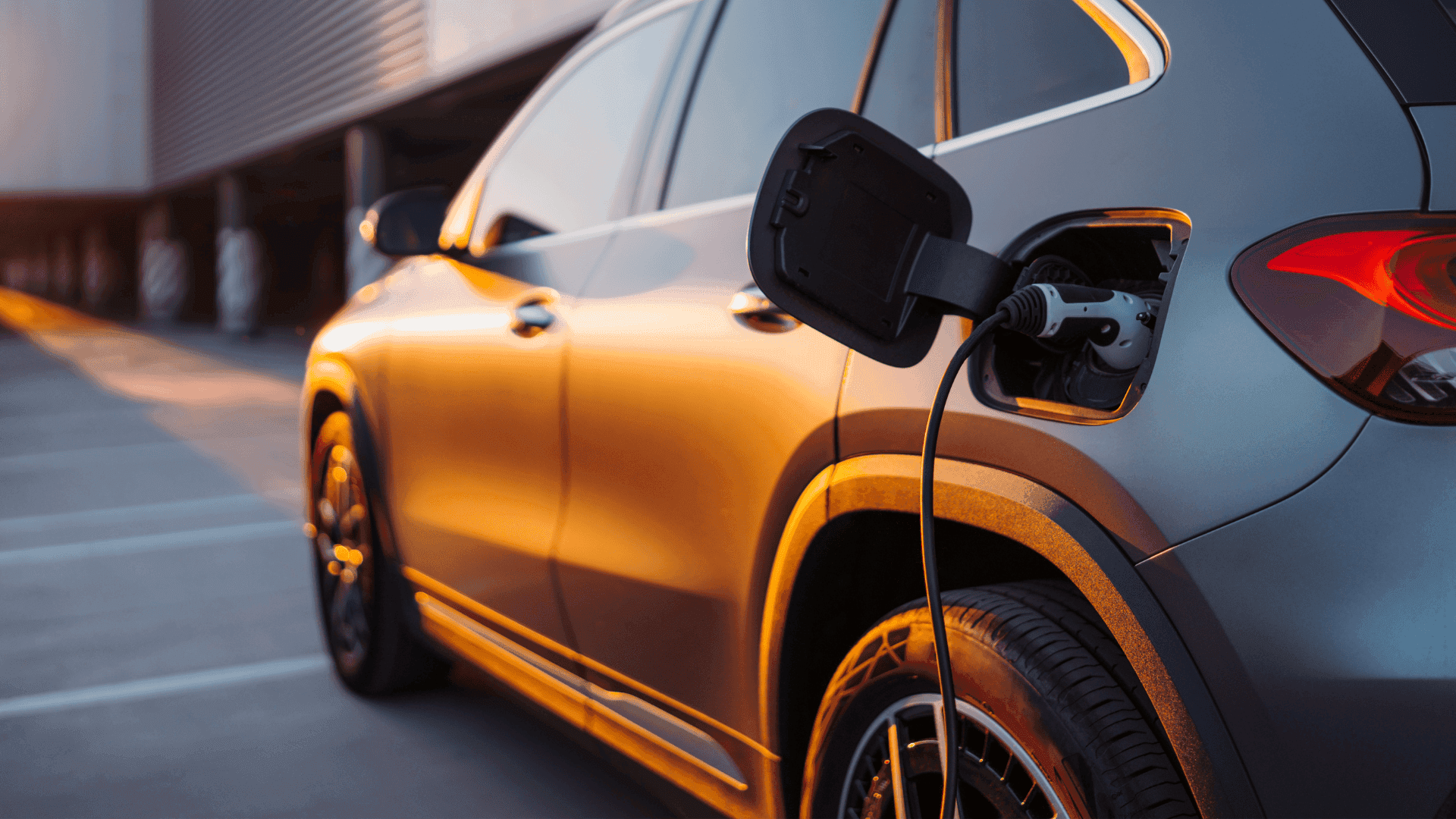 Real-Time Vehicle Tracking | Live Vehicle Tracking | Radius